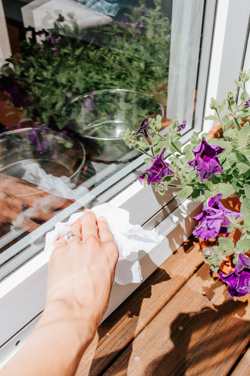 How to Clean Your Windows like a Pro - Pretty Handy Girl